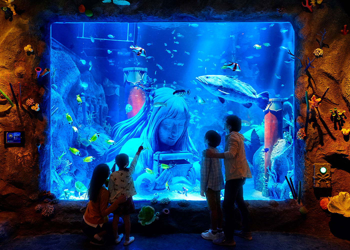 SEA LIFE Nagoya Aquarium Night Tour